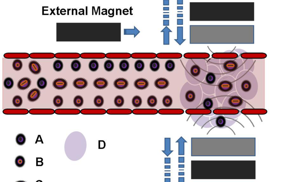 Non-invasive, magnetic, deep tissue drug delivery – ApplySci