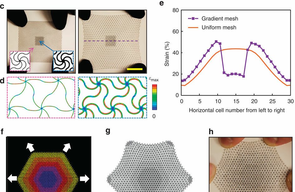 Strong, elastic artificial “skin” mimics collagen structure – ApplySci