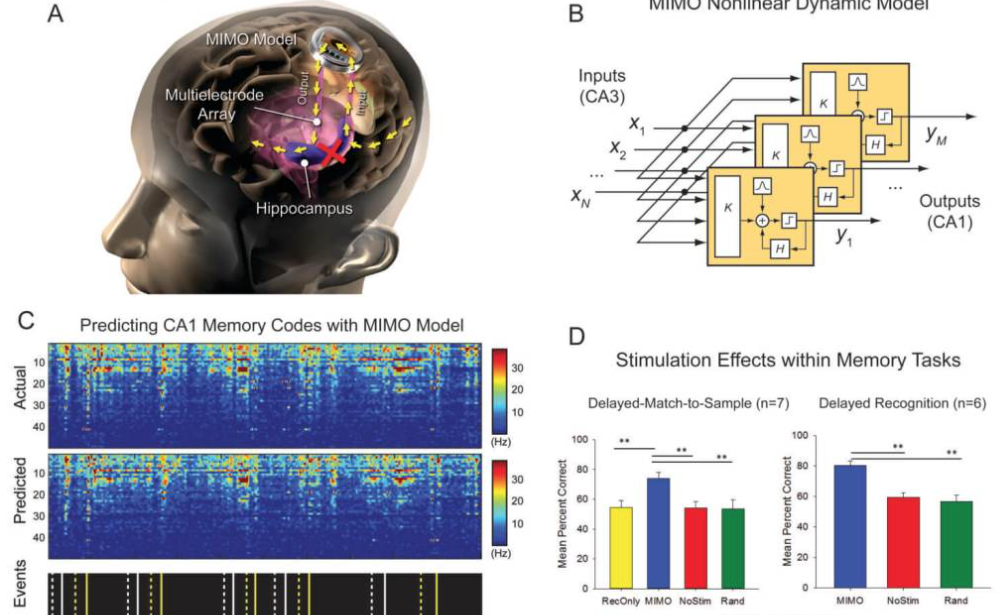 Prosthetic system uses one’s own patterns to encode, recall memory ...