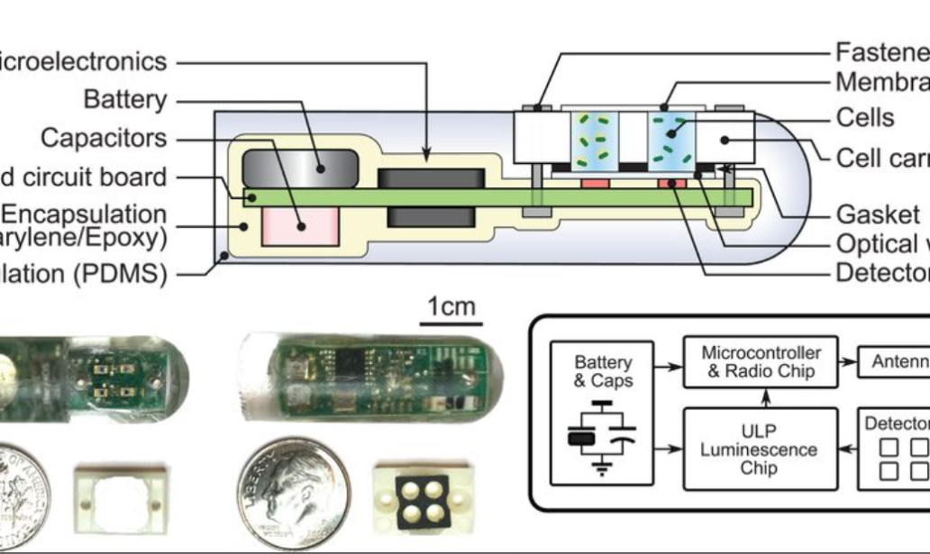 Ingestible “bacteria on a chip” detects blood, inflammation – ApplySci