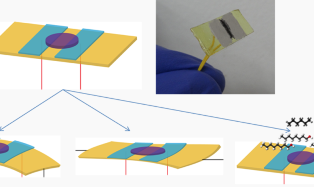 Body heat-powered, self-repairing health sensor system – ApplySci