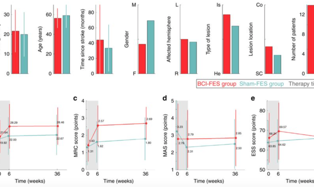 Combined BCI + FES system could improve stroke recovery – ApplySci