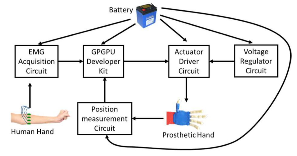 AI/EMG system improves prosthetic hand control – ApplySci – Deep Tech Health + Neurotech