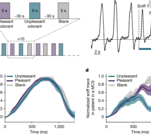 Sniff test predicts consciousness recovery – ApplySci – Deep Tech ...