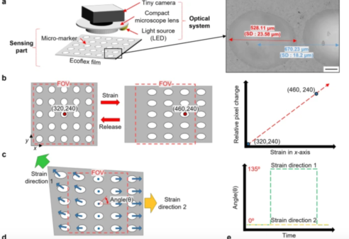 Computer vision enhanced sensors improve rehabilitation – ApplySci ...